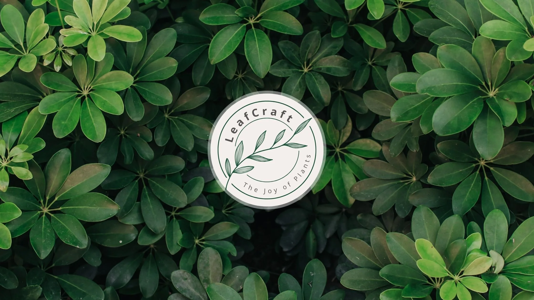 Welcome to LeafCraft