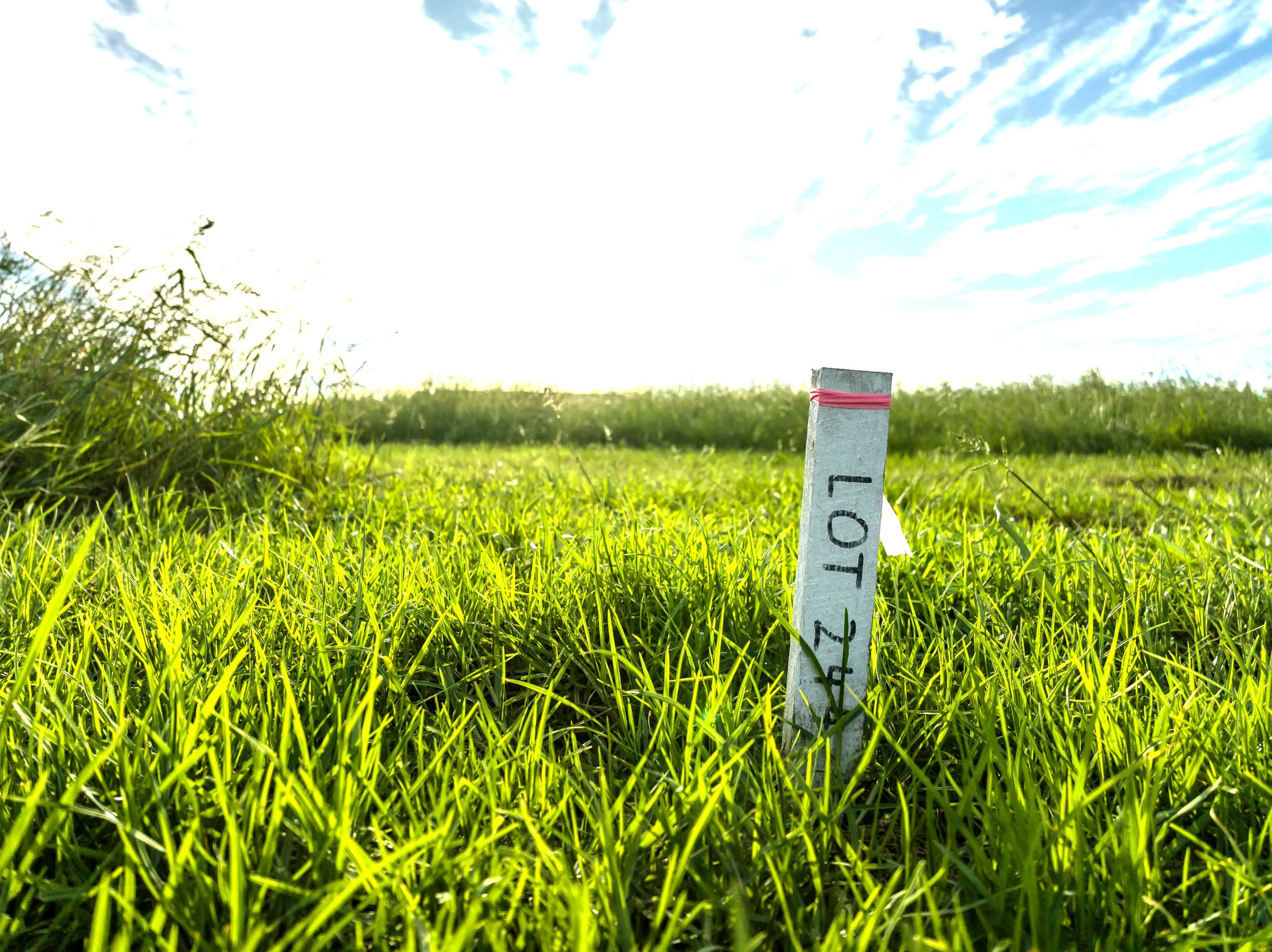 Fairviews Estate | Land For Sale — CAVI Property Group