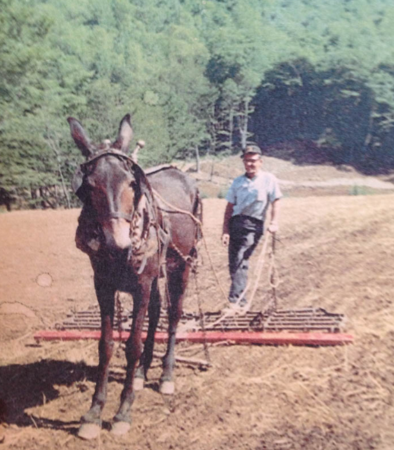 Our Story — Wolf Laurel Country Club
