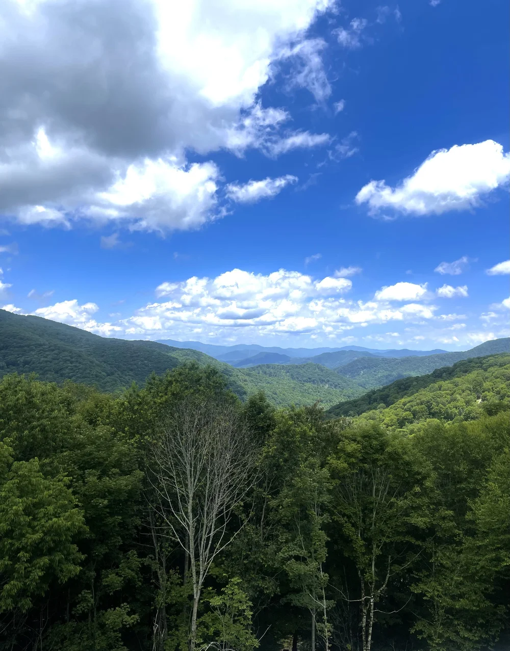 Membership — Wolf Laurel Country Club