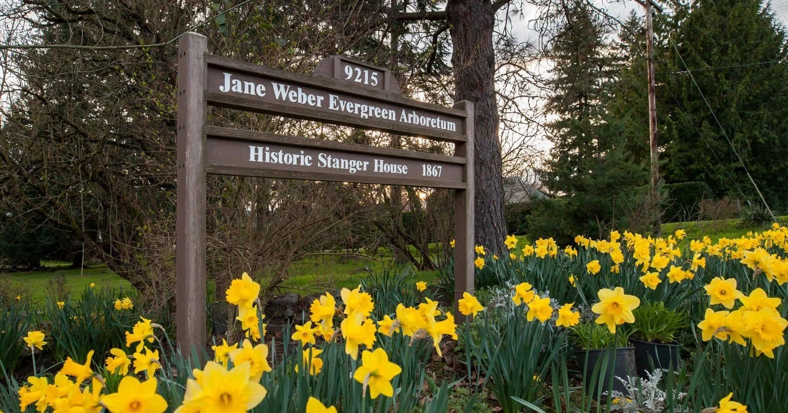 Initiatives — E. Jane Weber Arboretum