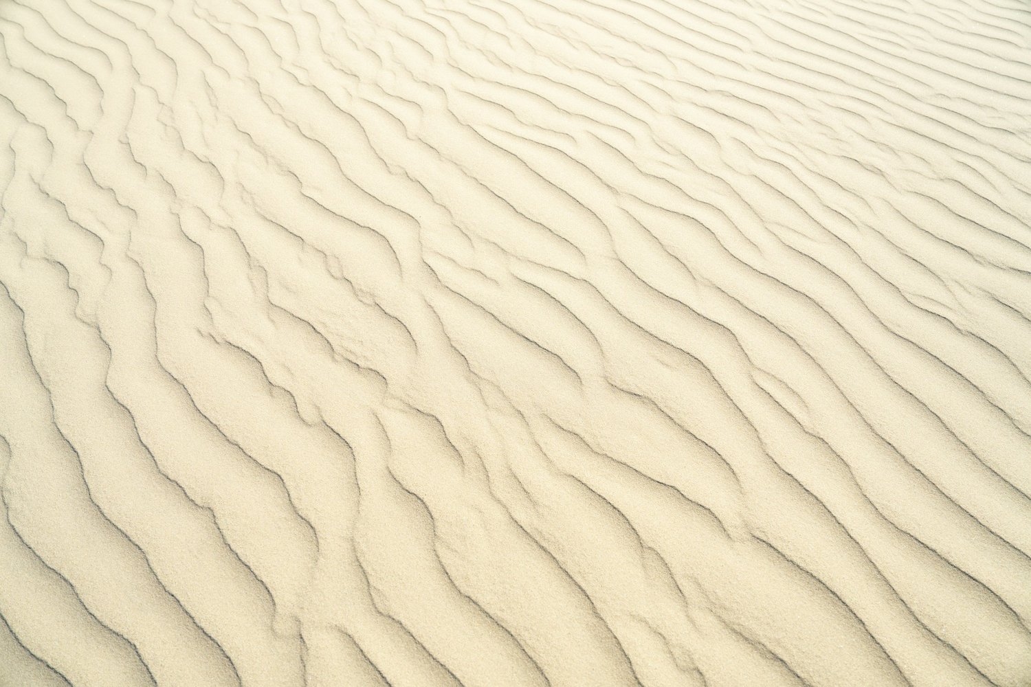 Parent Hope Project for Parenting Confidence — Robyn Bowman Counselling