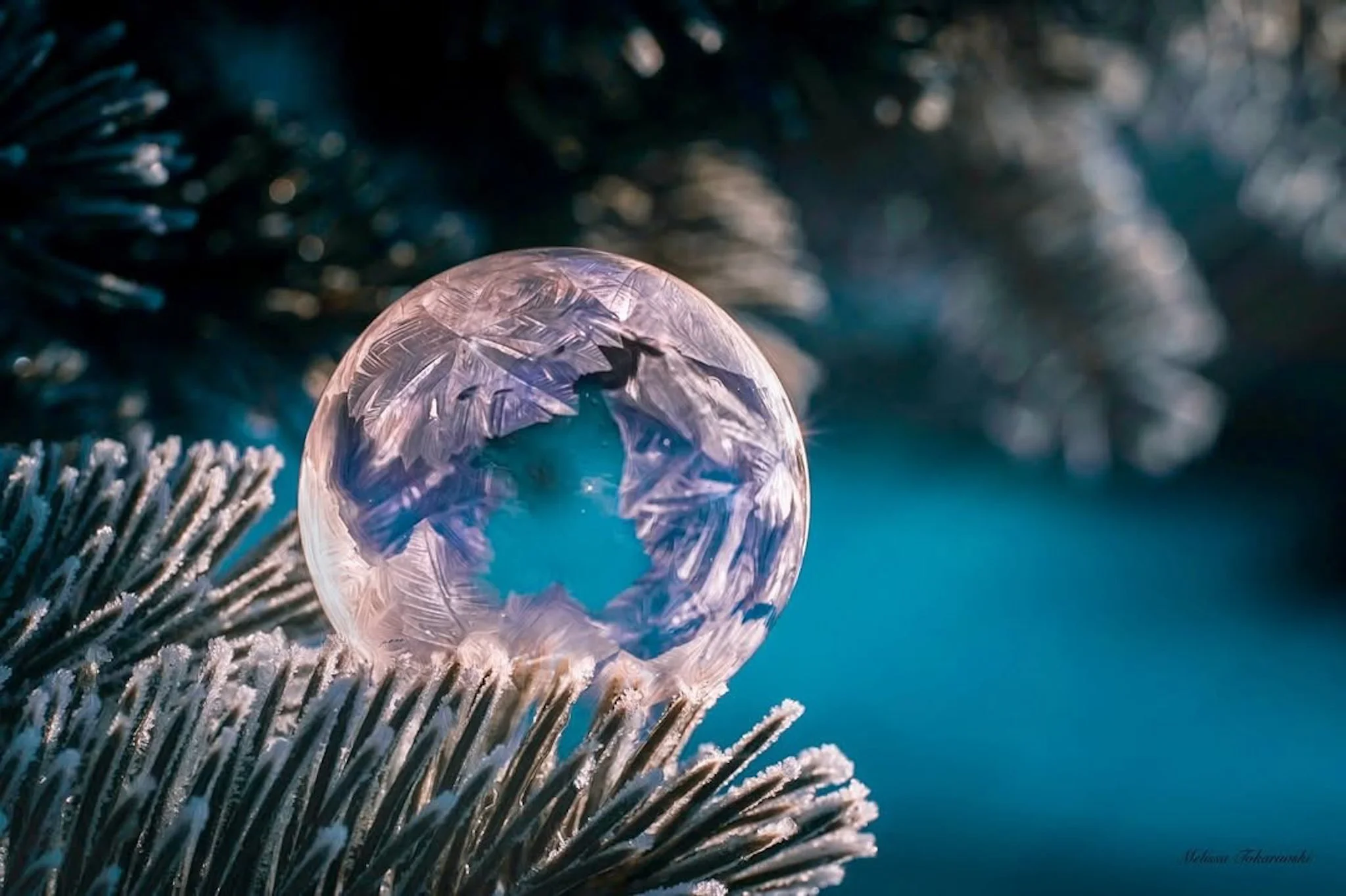 How to Take Photos of Frozen Bubbles