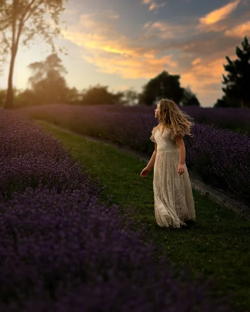 Photography Education Courses