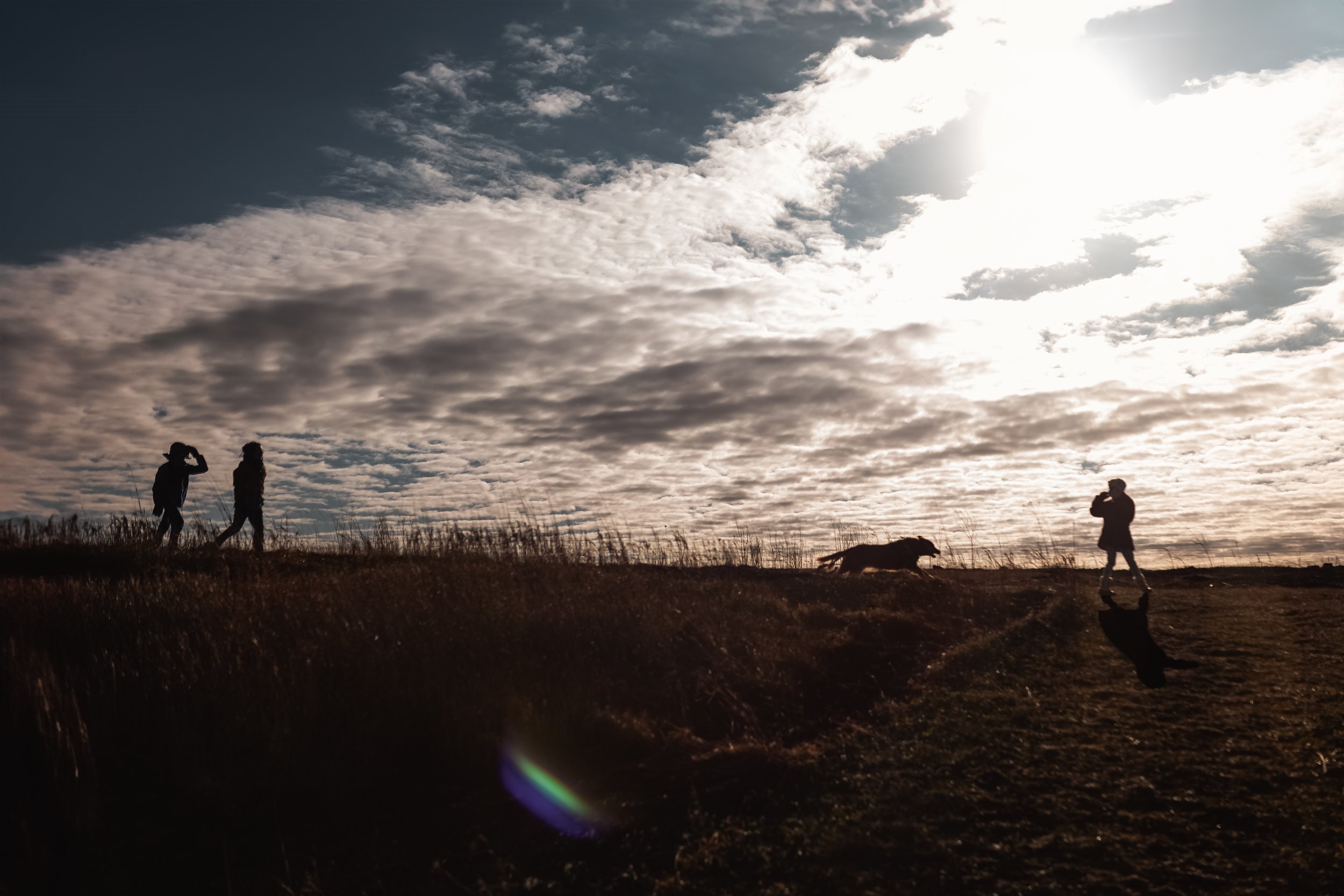 Embracing Full Sun Photography