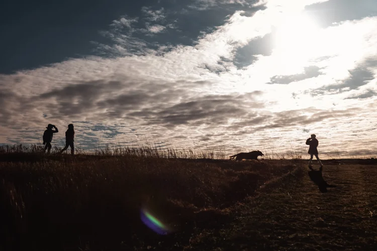Embracing Full Sun Photography