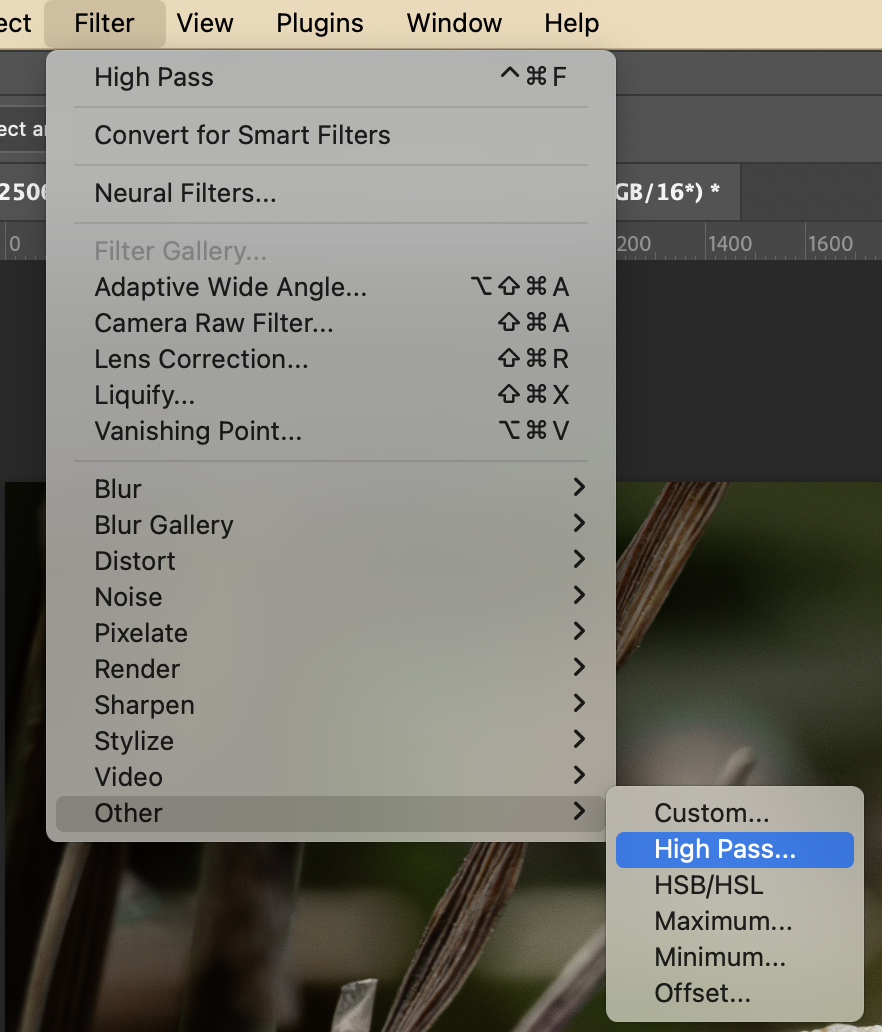 High Pass Filter for Sharper Images | by Amy Selleck