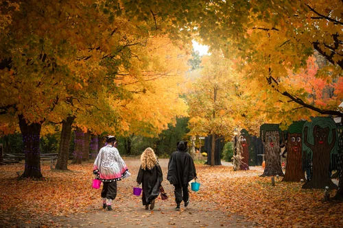 Top 5 Tips for Capturing Stunning Autumn Photos | by Holly Awwad