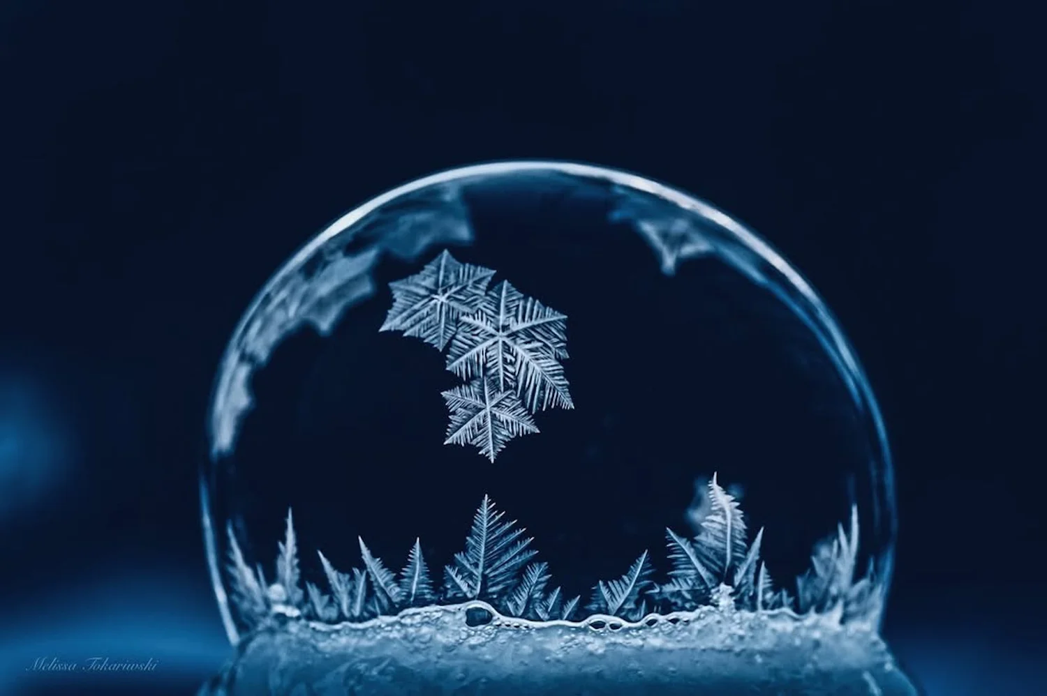 How to Take Photos of Frozen Bubbles