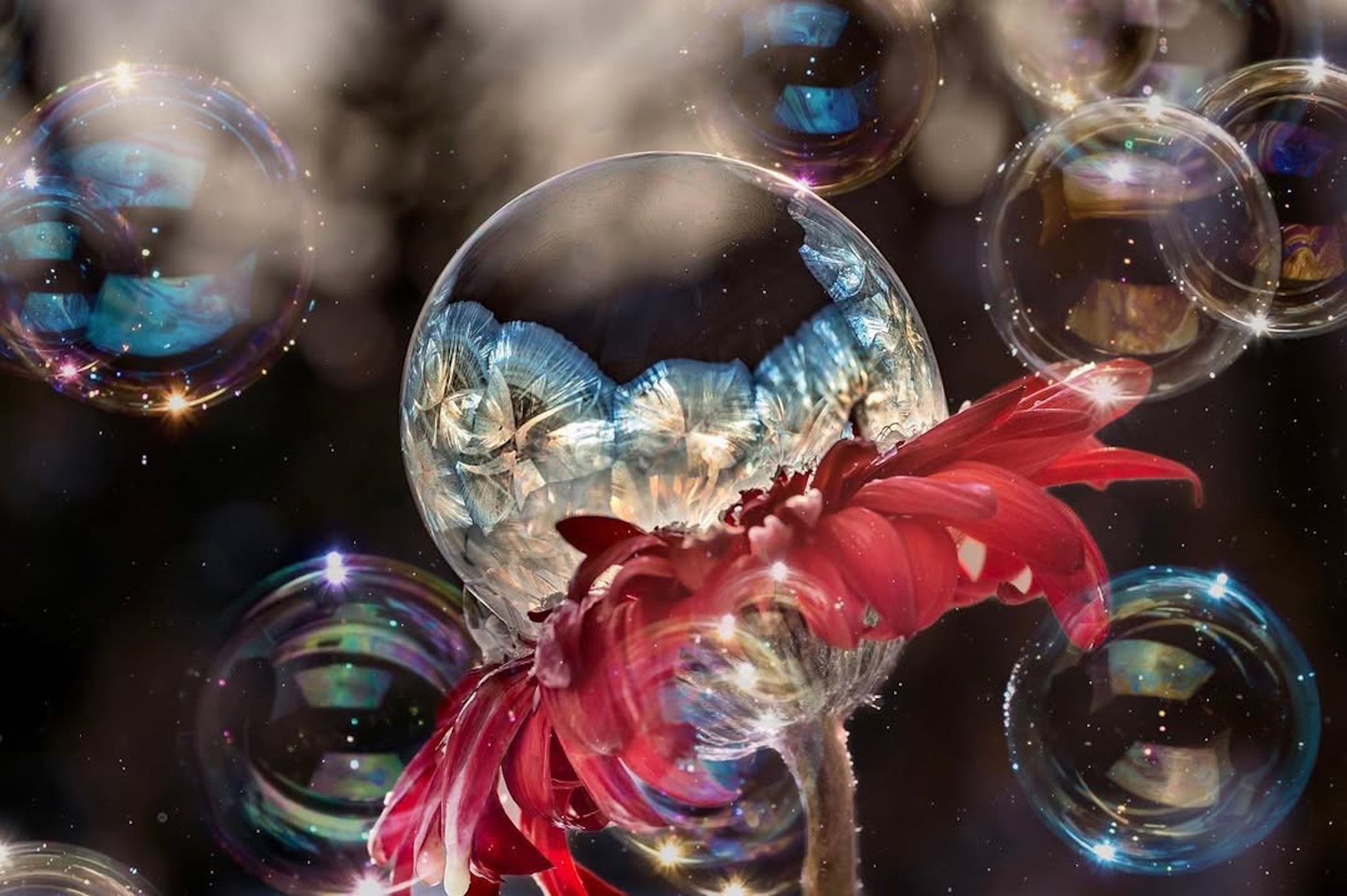 How to Take Photos of Frozen Bubbles