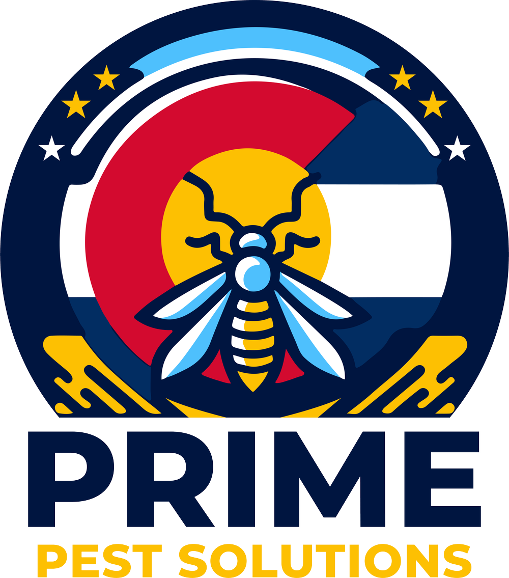 Local Pest Control Experts | Prime Pest Solutions