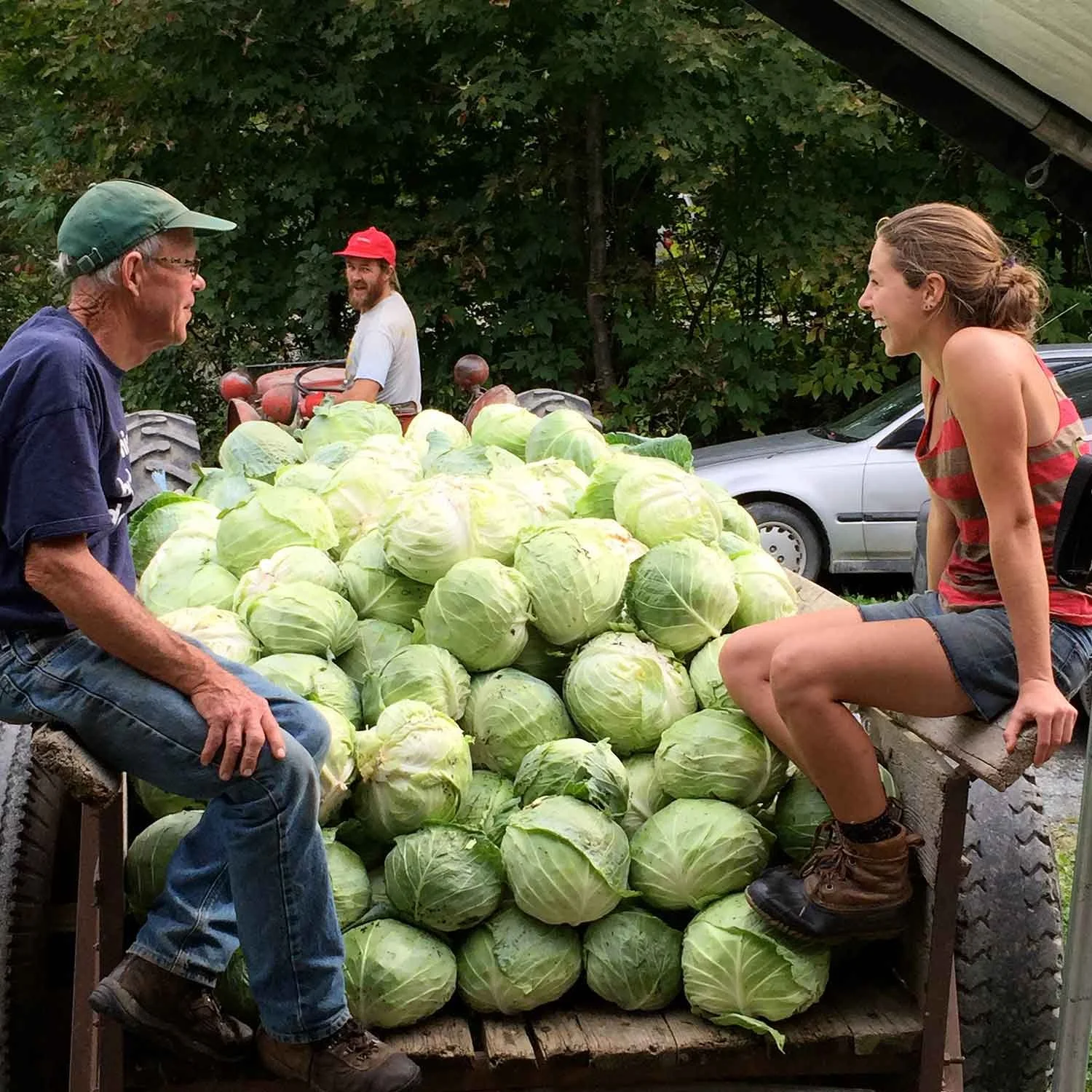 Flack Family Farm | Vermont Lacto-Ferments & Grass-Fed Animals