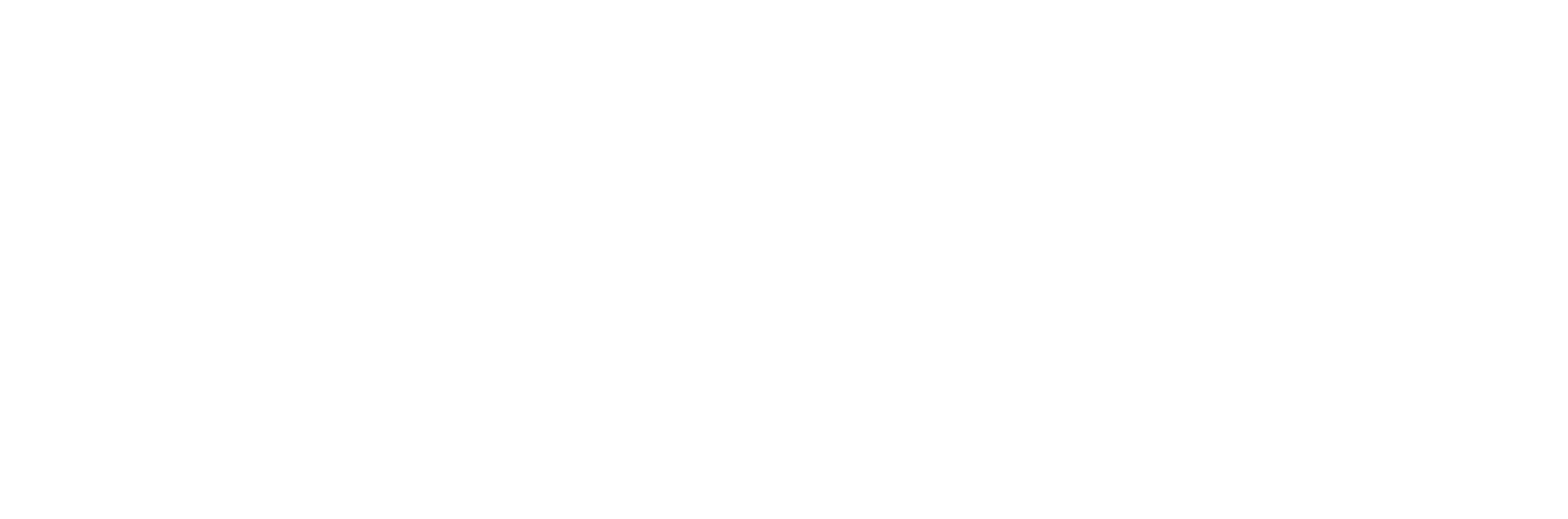 New Life Advance International