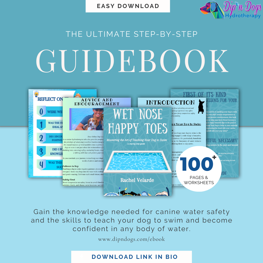 Hydrotherapy for Dogs | Canine Hydrotherapy