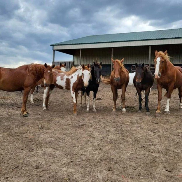 About — River Valley Ranch, Inc.