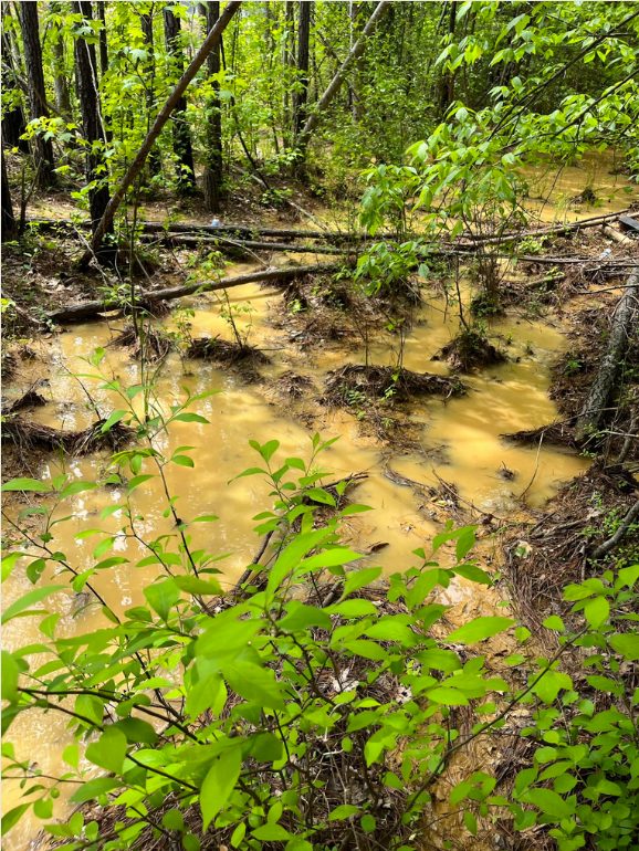 Haw History — Haw River Assembly