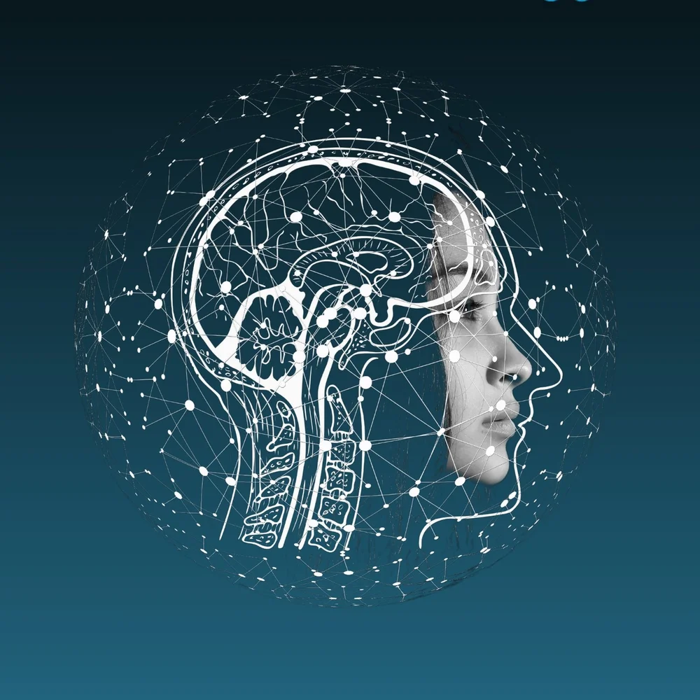 Catálogo — Biogenic Reference