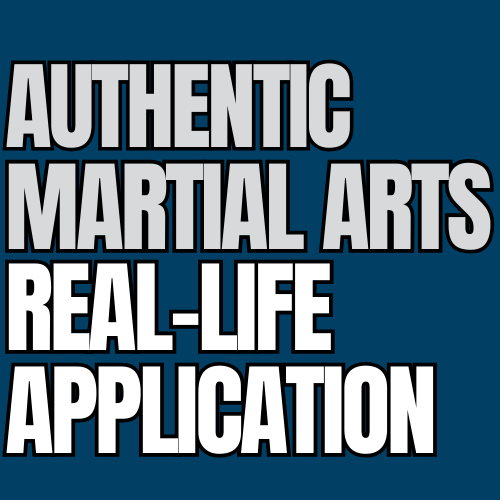 Adult MMA Training — Warrior Martial Arts Academy