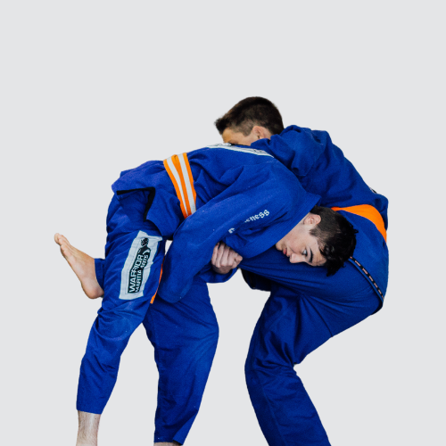 ADULT CLASSES — Warrior Martial Arts Academy