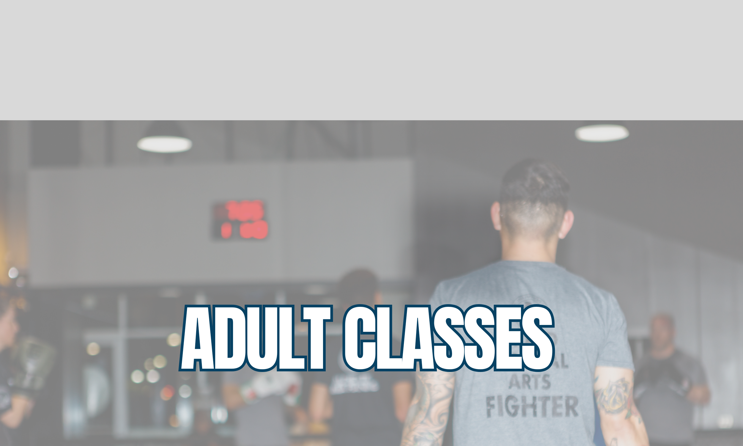 Adult Training — Warrior Martial Arts Academy
