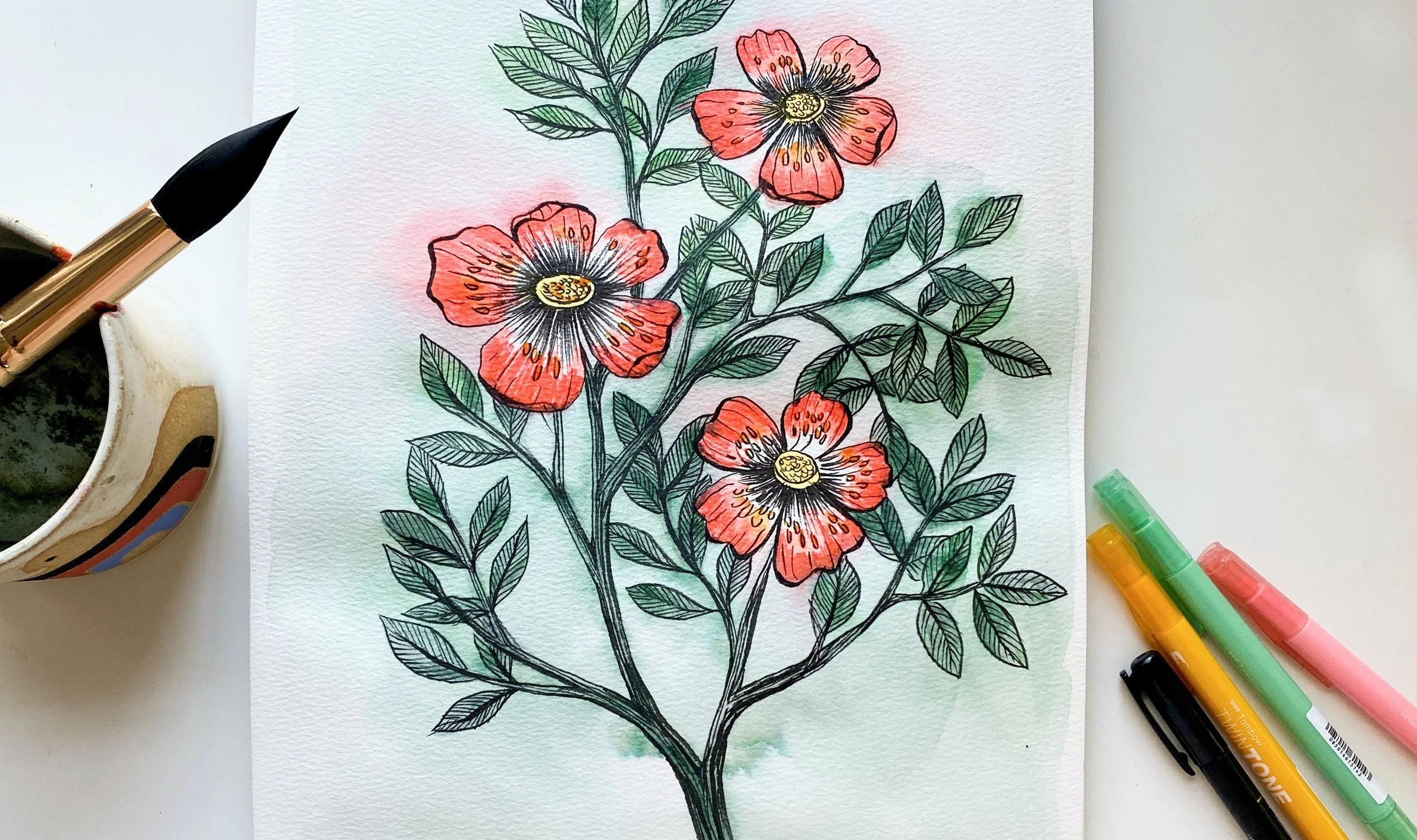 How to Draw 12 Flowers with Sarah Watts — Sarah Watts