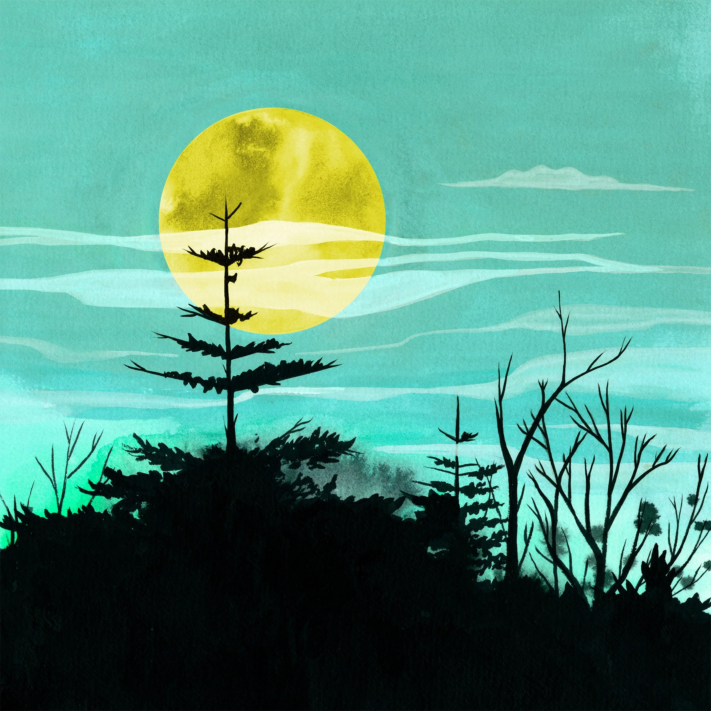 Illustration — Sarah Watts