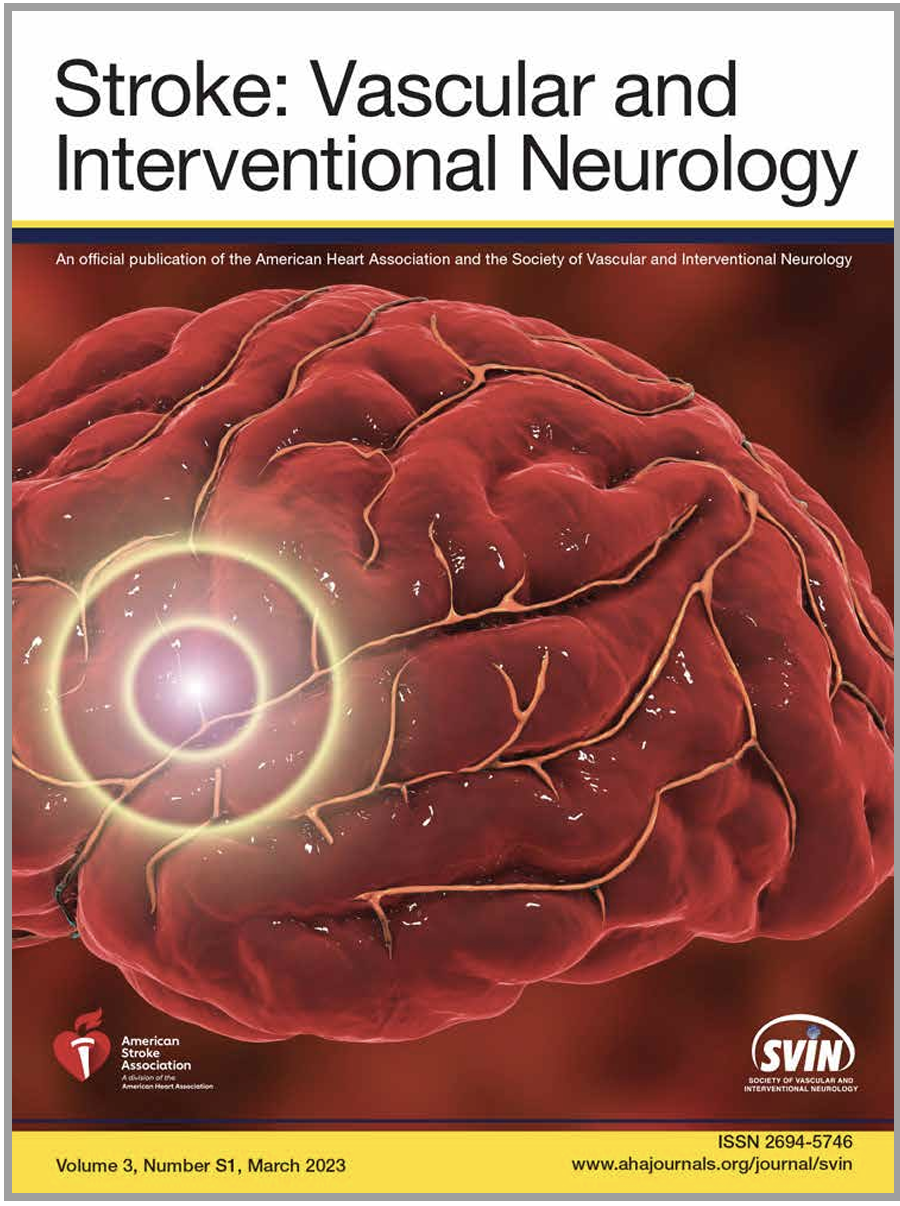 S:VIN Journal — SVIN Partnerships