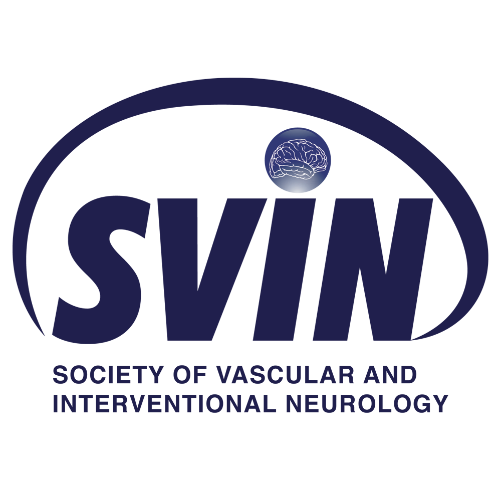 S:VIN Journal — SVIN Partnerships