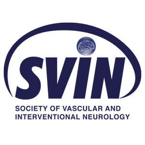 S:VIN Journal — SVIN Partnerships