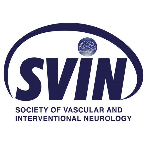 S:VIN Journal — SVIN Partnerships