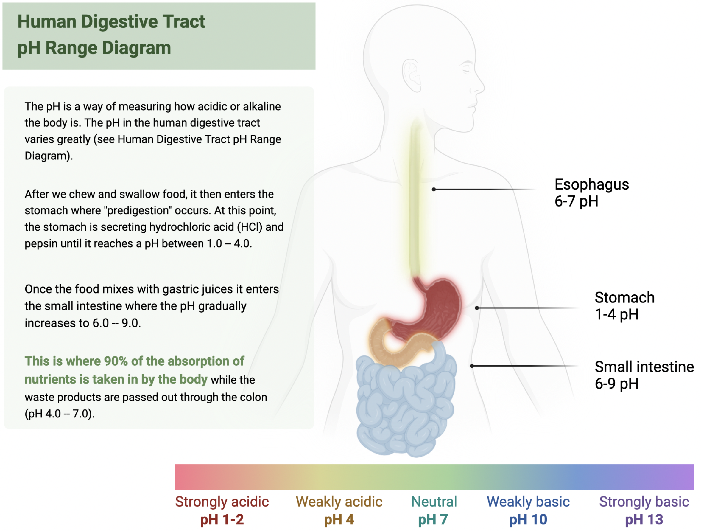 The pHTracker — EnteroTrack
