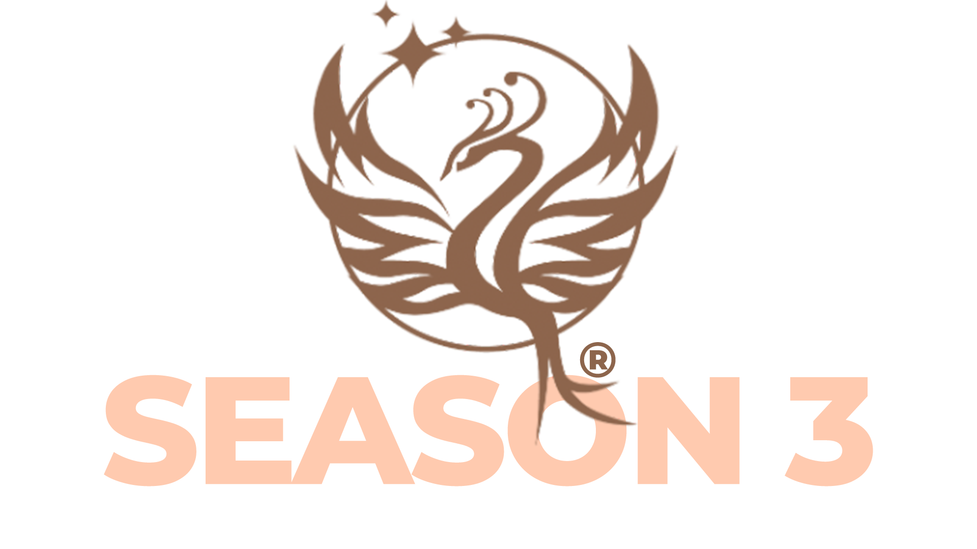 Performances — Copper Coin Ballet Company (Copy)