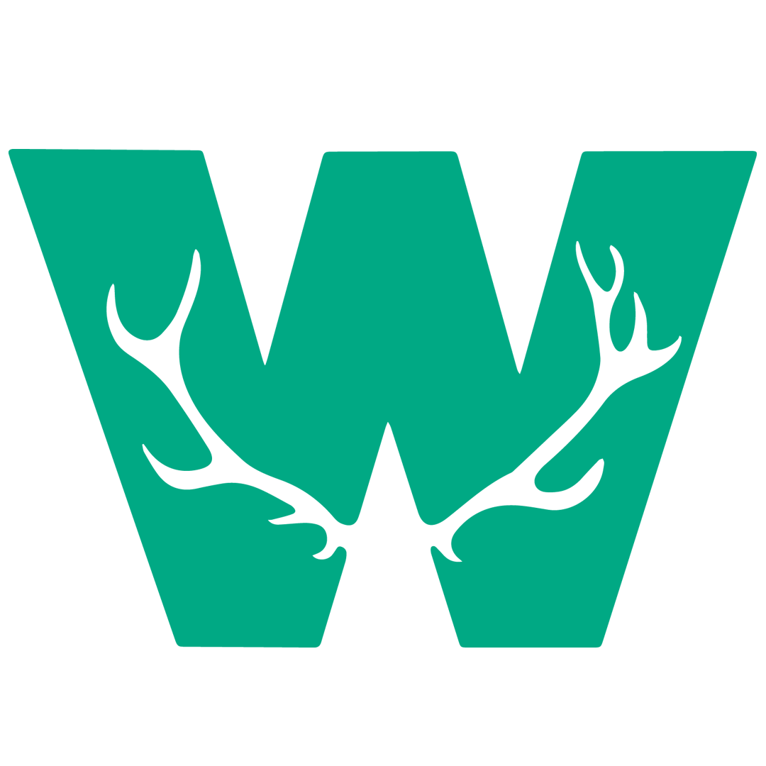 Wapiti Music Festival | Join the Festival Spirit Today