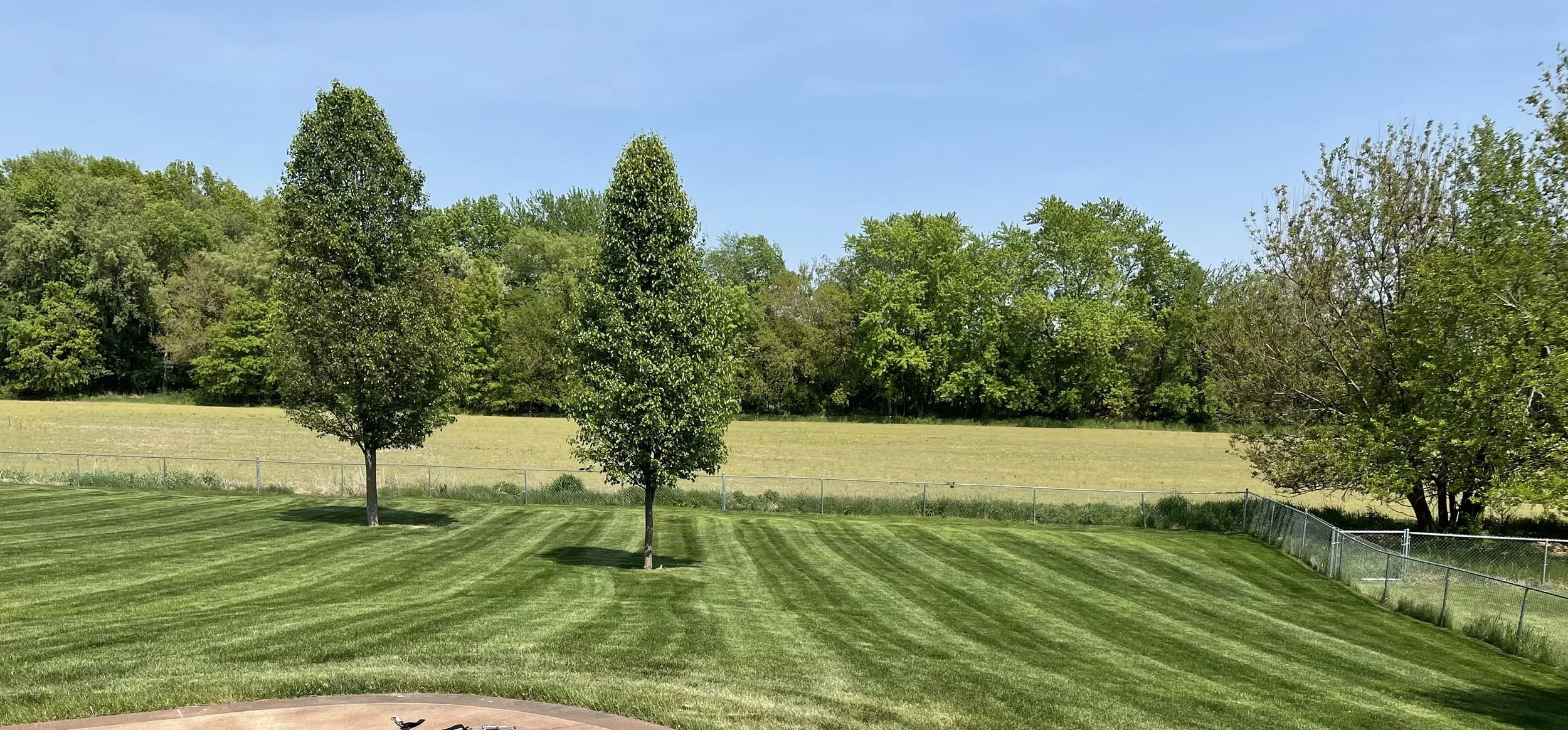 Precision Landscape