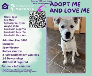 Adopt — K9 Advocacy Manitoba