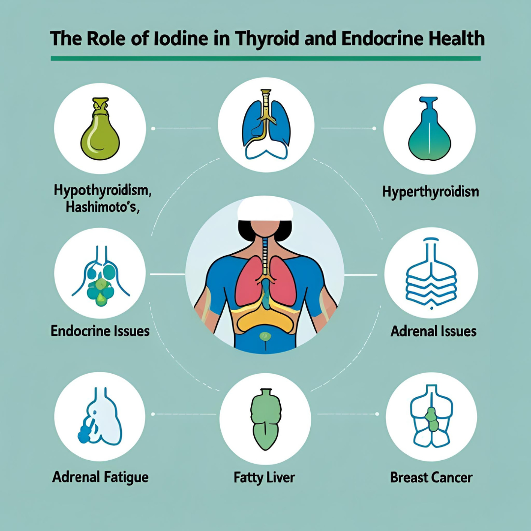 Iodine and Your Hormones: The Missing Link in Thyroid and Endocrine ...