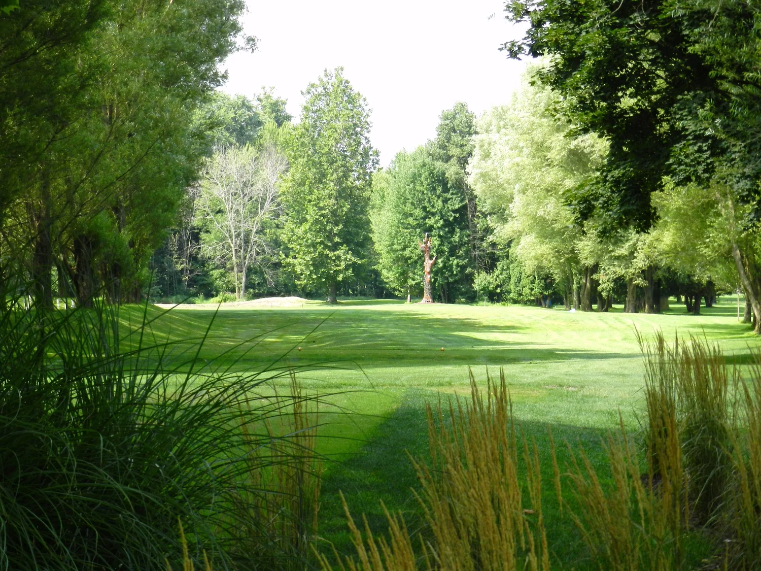 Indian Hills