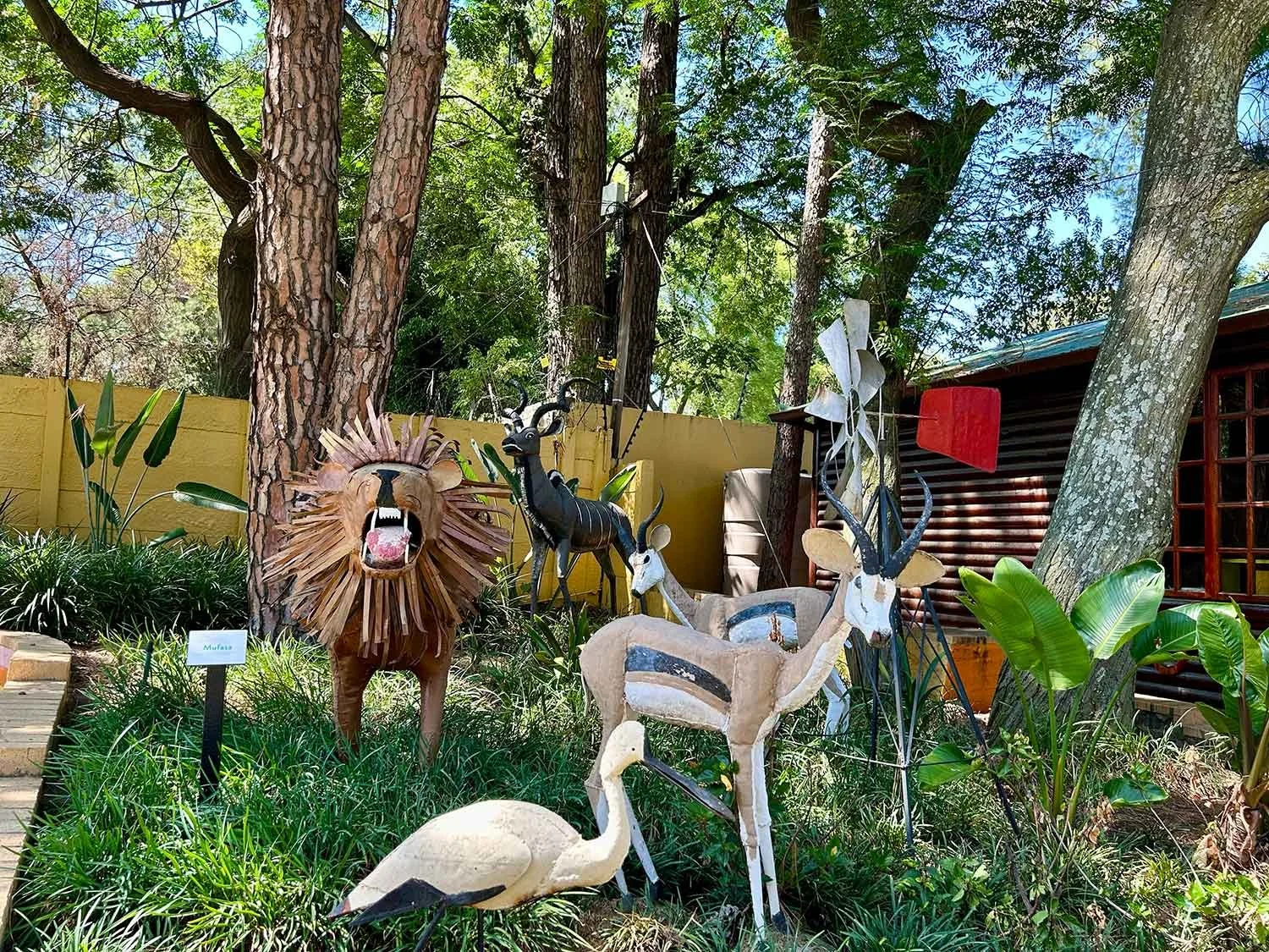 Pine Forest Pre Primary School a pre school and nursery school in ...