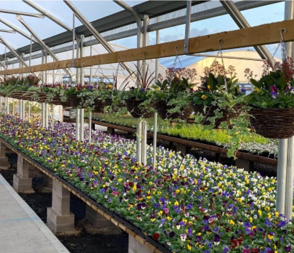 Newlands Nursery Chatburn Clitheroe