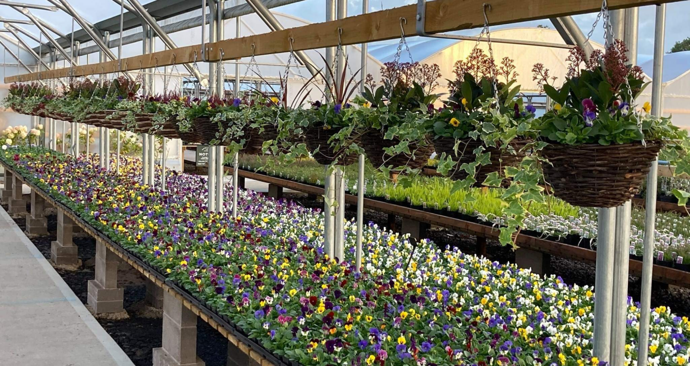 Newlands Nursery Chatburn Clitheroe
