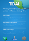 Tidal Energy Fact Sheet: Exploring the Potential of Ocean Currents