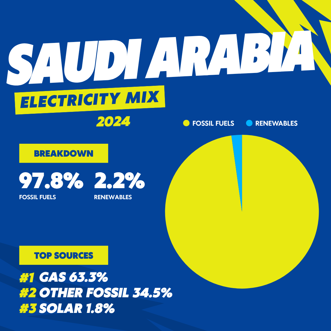 Saudi Arabia Energy Profile 2024: Electricity Mix