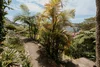 Ematjeni Retreat and Guesthouse, Eswatini