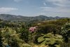 Ematjeni Retreat and Guesthouse, Eswatini