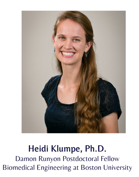 LC Seminar- Heidi Klumpe — The Laufer Center