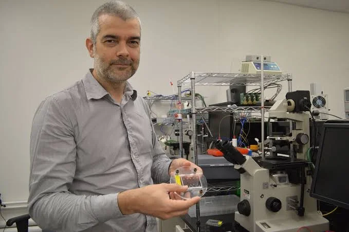 Faculty — The Laufer Center