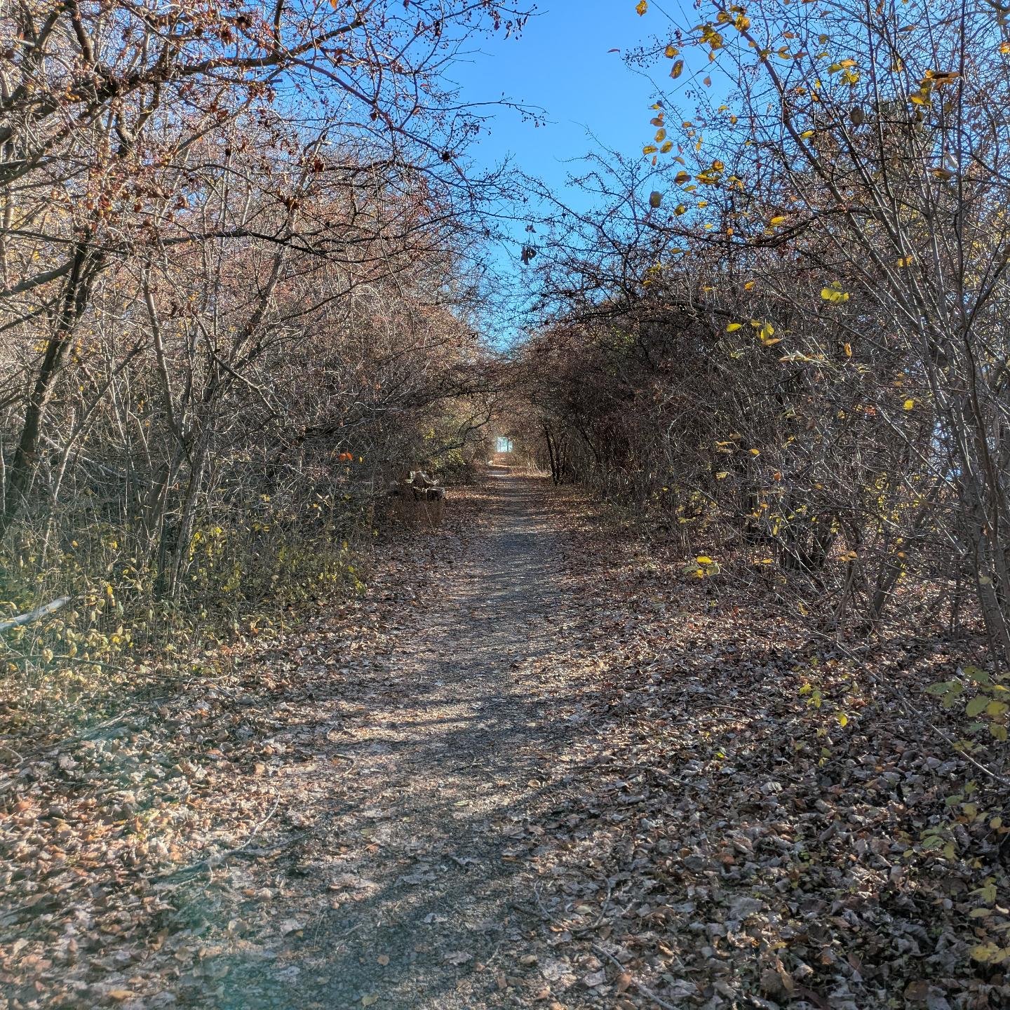 Book Cover Insecurity — H. R. Sinclair