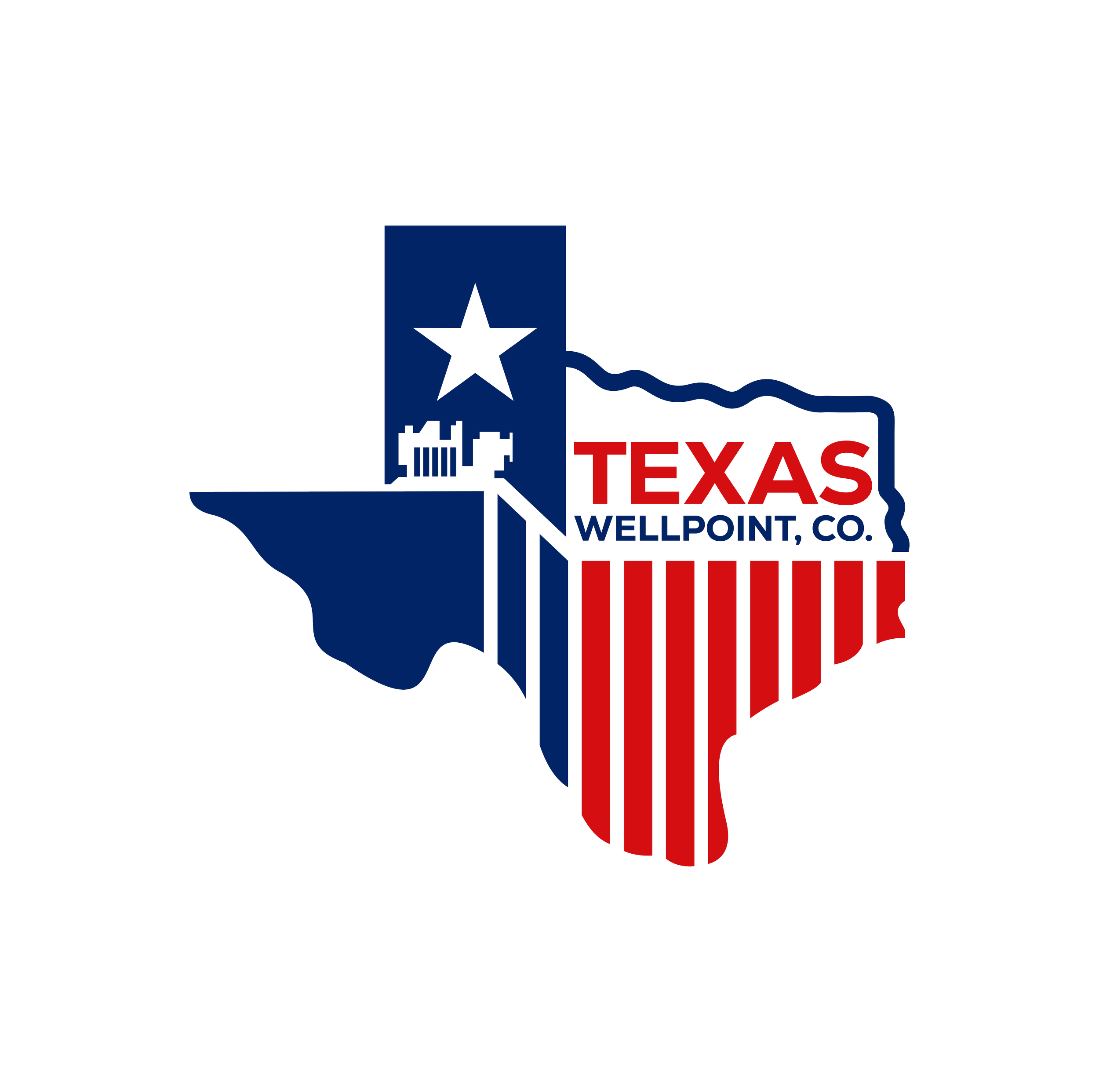 Texas Wellpoint Company