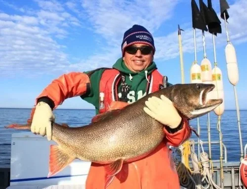 The Faces of Lake Trout: Lake Superior’s Evolutionary Marvel ...