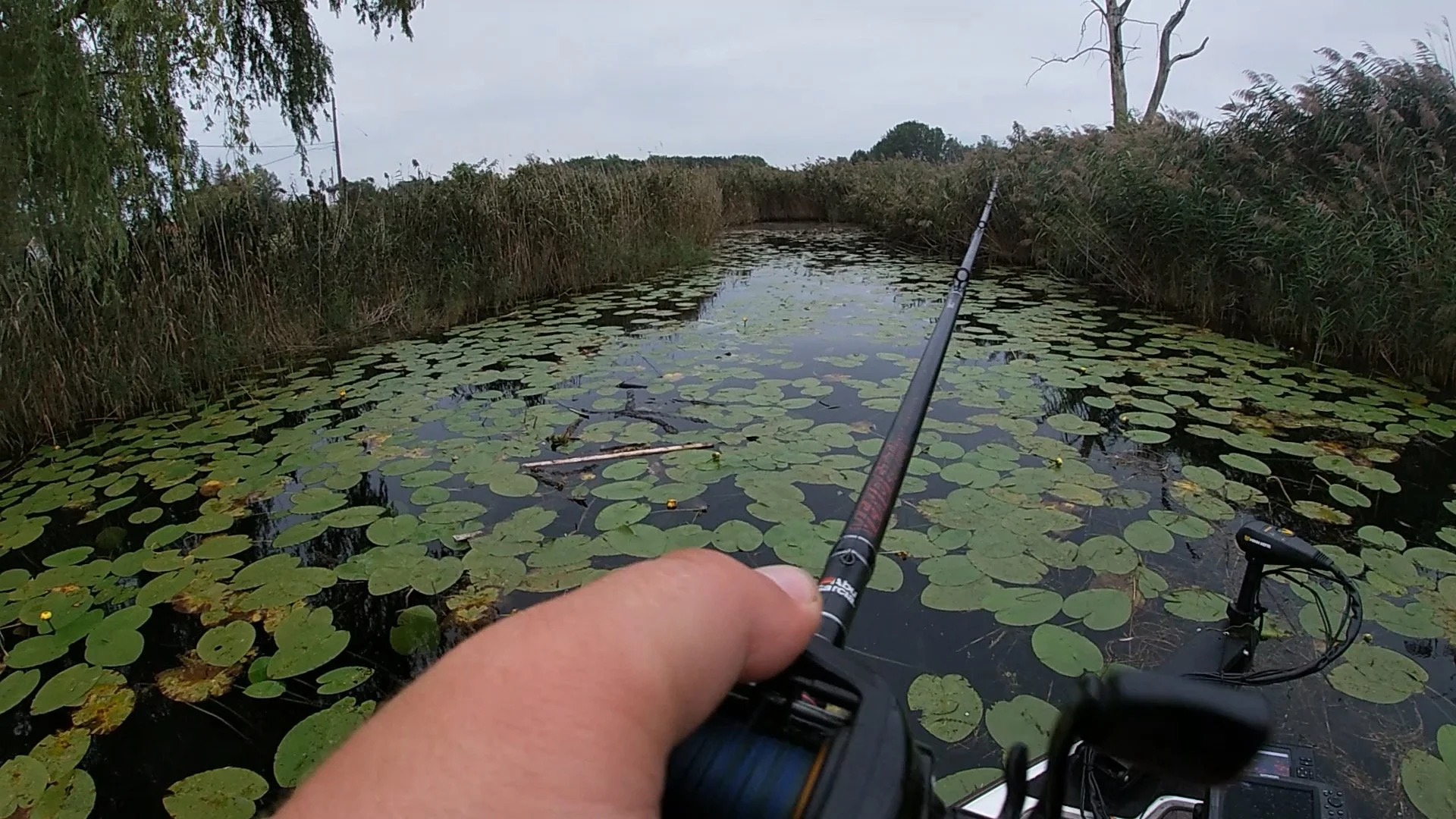 About — Foresight Fishing